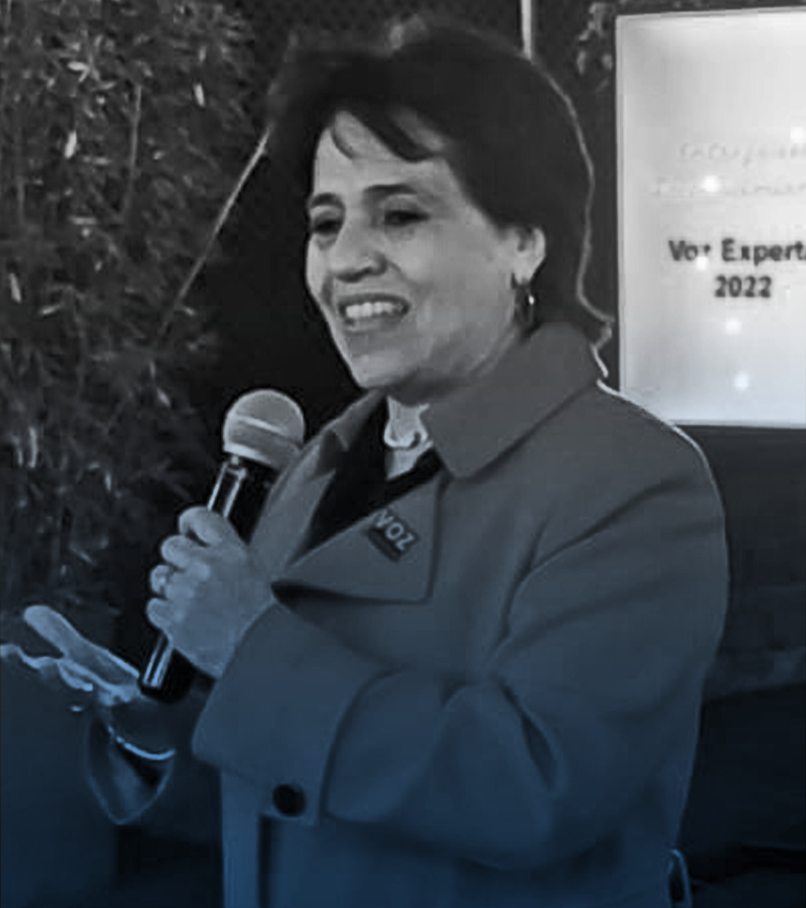 Energía A Debate